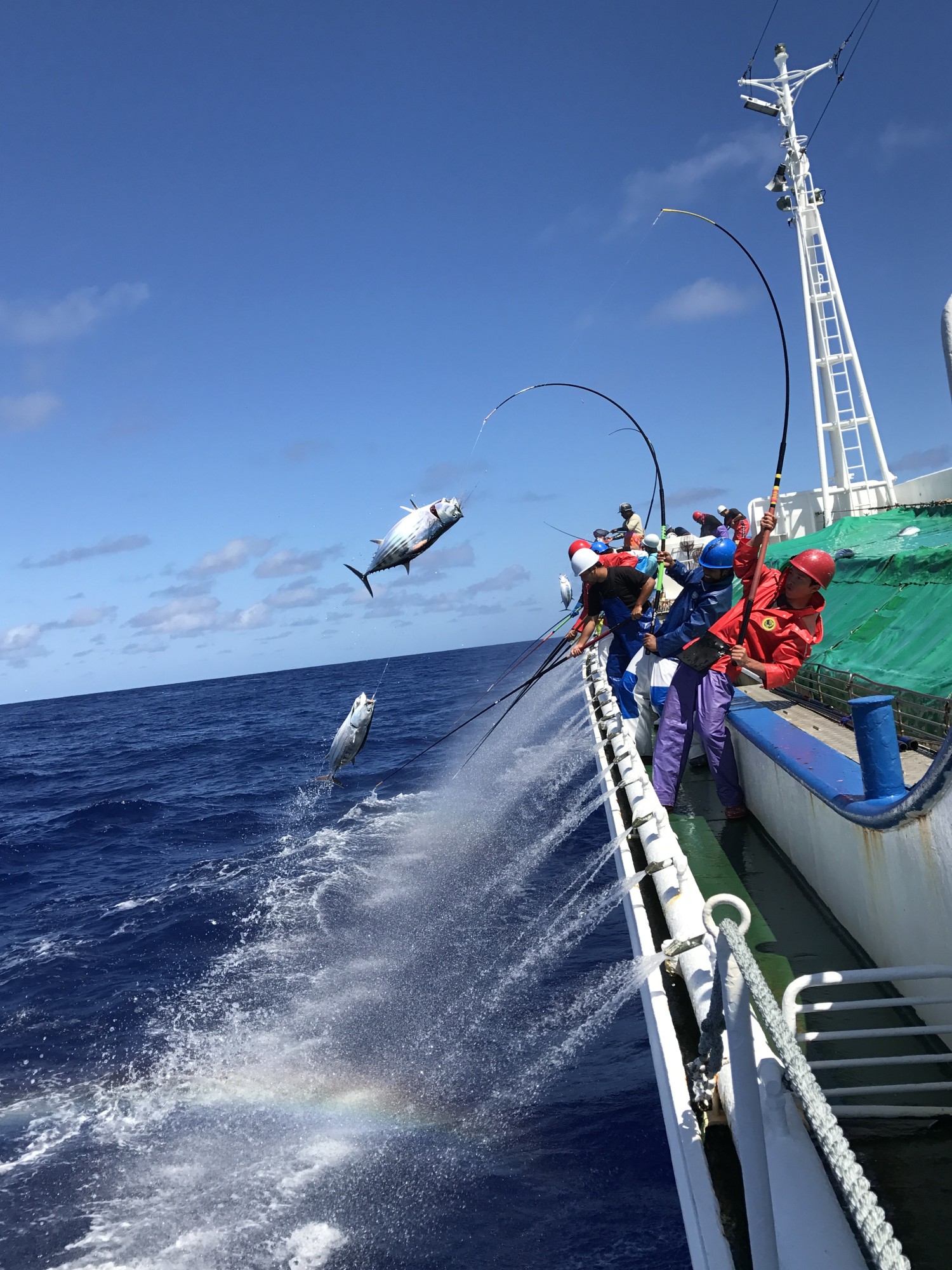 Home - Oddisea SuperFrozen